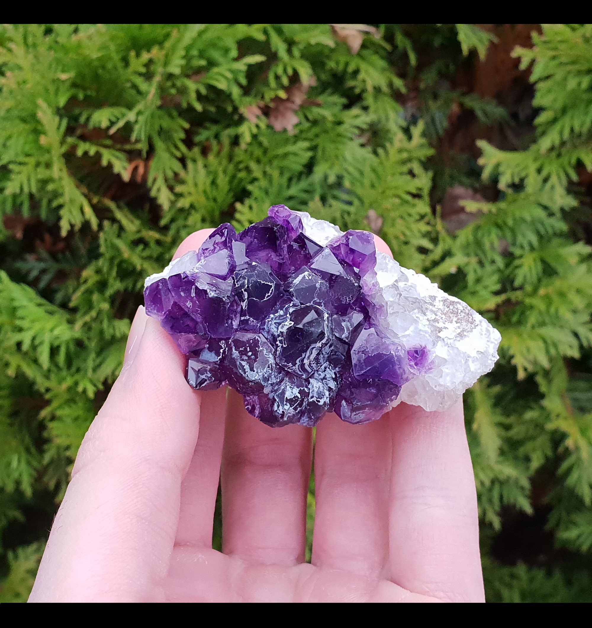 Améthyste Qualité Extra – Uruguay | Géodes Et Minéraux