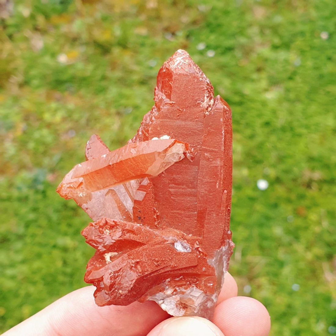 Quartz rouge Hématoïde – Tinejdad, Maroc | Géodes Et Minéraux