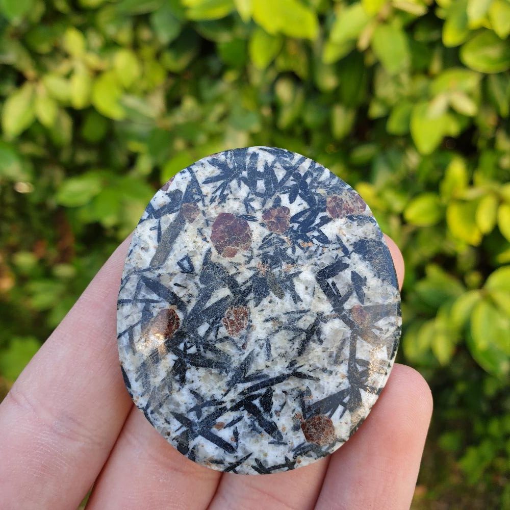 Grenat Actinolite – Tyrol, Autriche | Géodes Et Minéraux